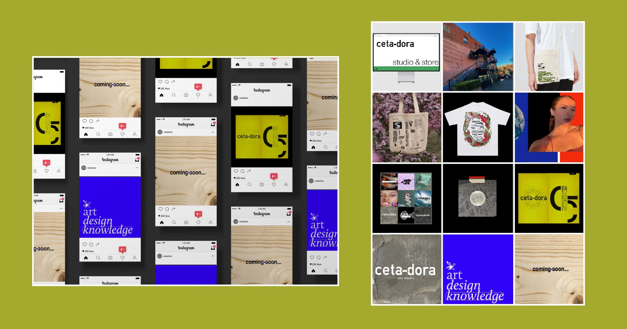 Shayla Auld | DIGITAL Design + Development